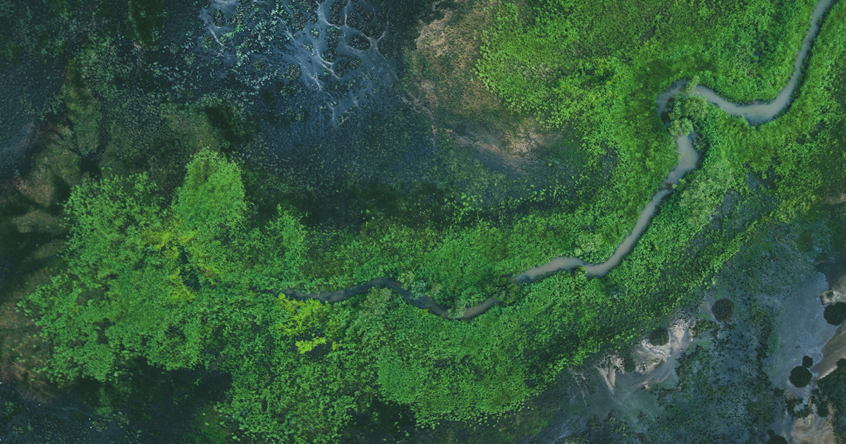 Bregal Investments launches Bregal Sphere Nature strategy | Bregal ...